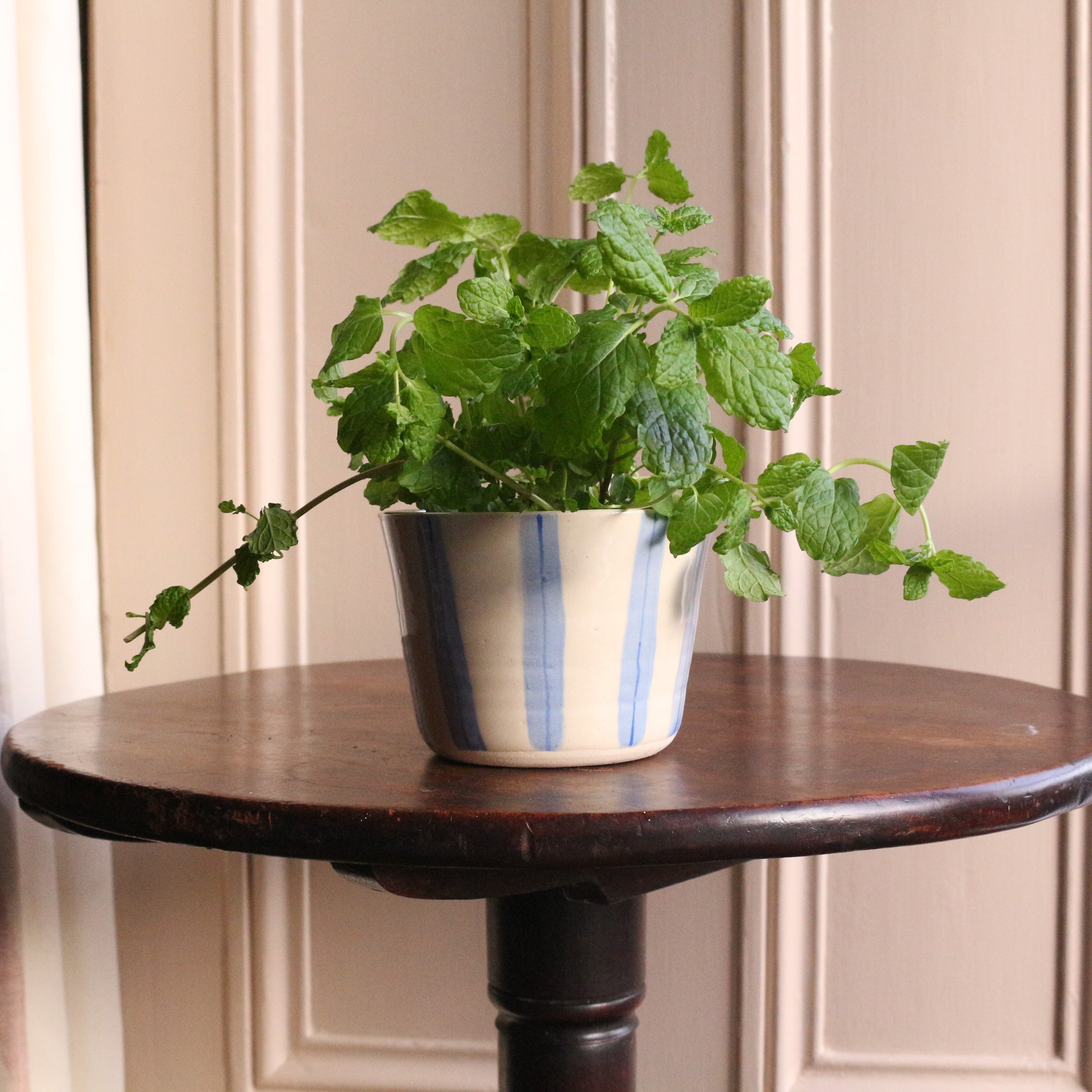 HERB POT // stripes – Jessie Morrison Ceramics